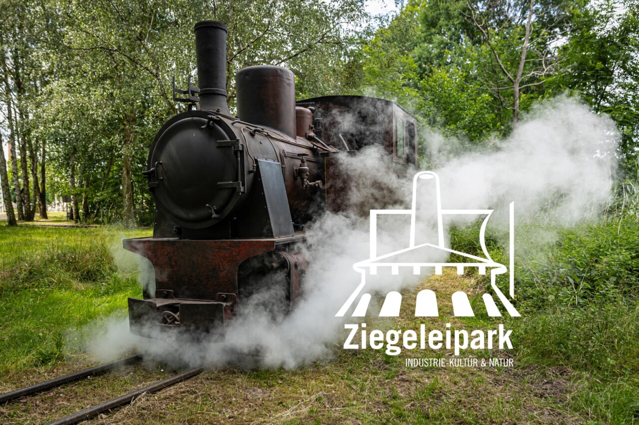 70. Geburtstag der LOWA Dampflok - Tag der Schiene